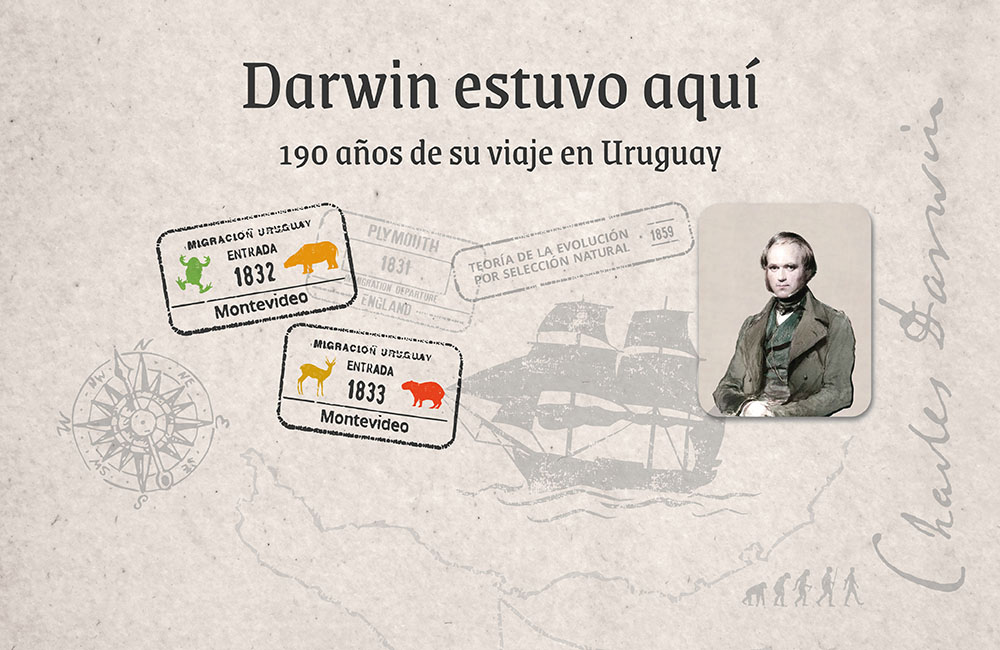Darwin estuvo aquí. 190 años de su viaje a Uruguay | Ministerio de Educación y Cultura